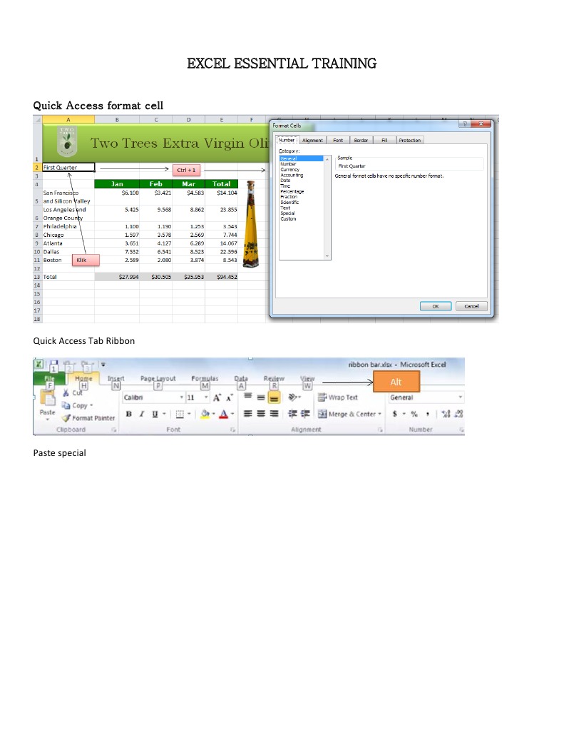Excel Essential Training: Quick Access Format Cell | PDF