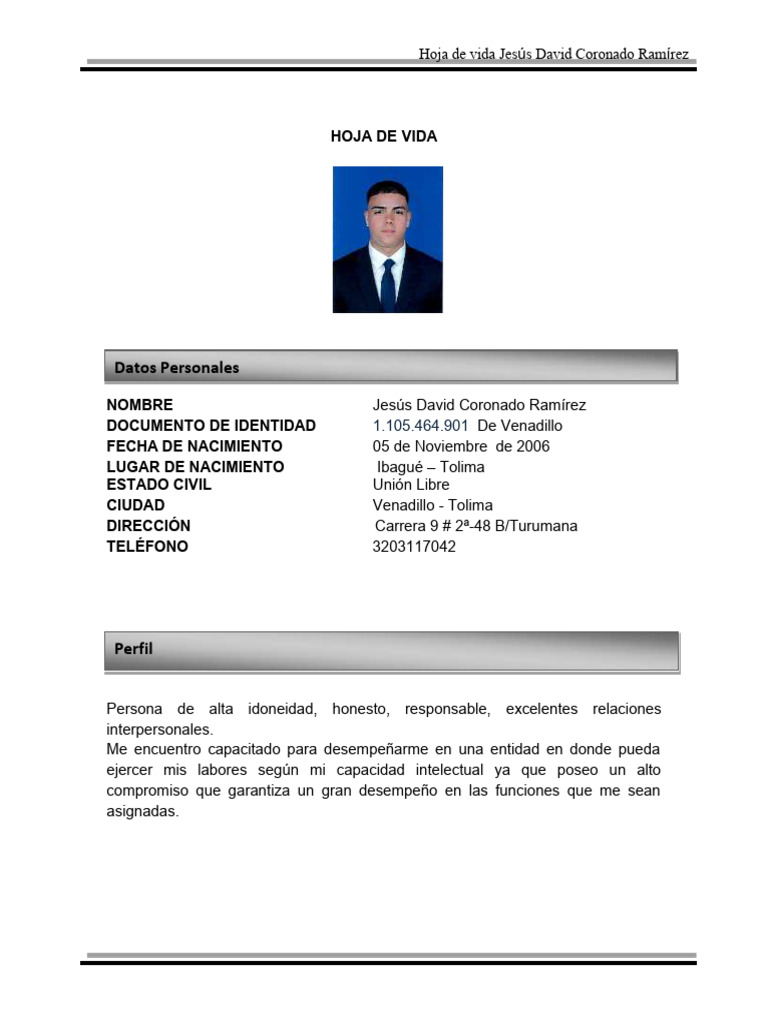 Hoja de Vida Jesus David Coronado | PDF