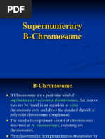 Mitosis Mover Webquest Bioman PDF | PDF | Mitosis | Chromosome