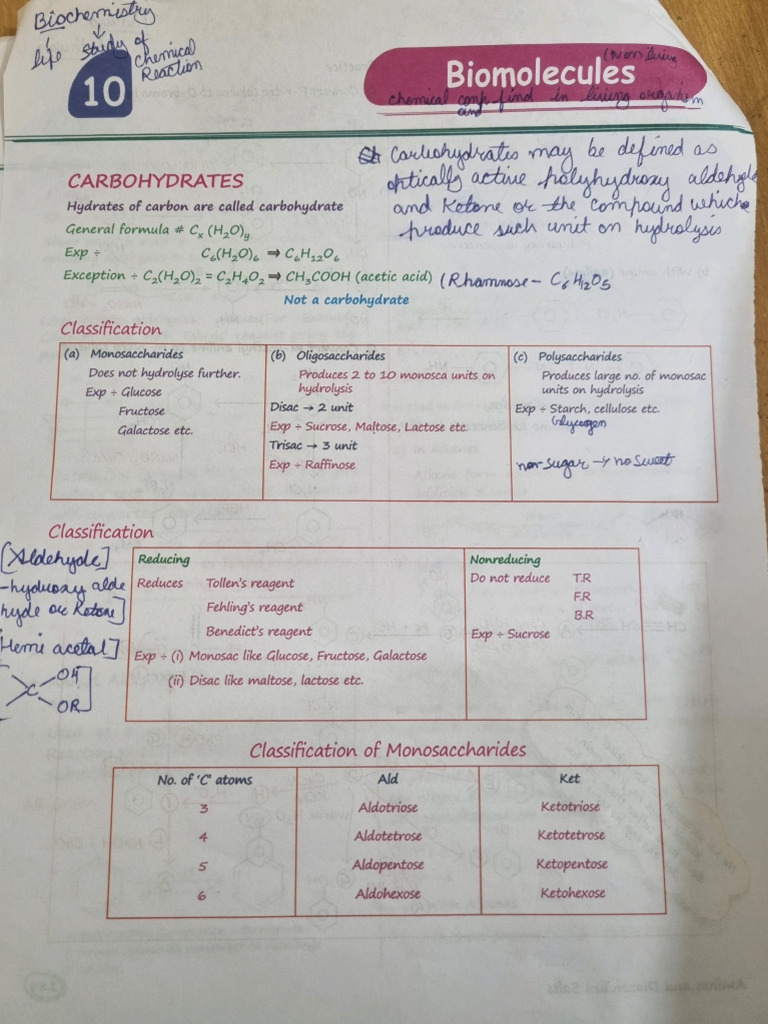 Biomolecules Notes | PDF