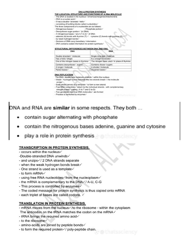 Life Sciences Quick Fix Grade 12 Term 1 | PDF