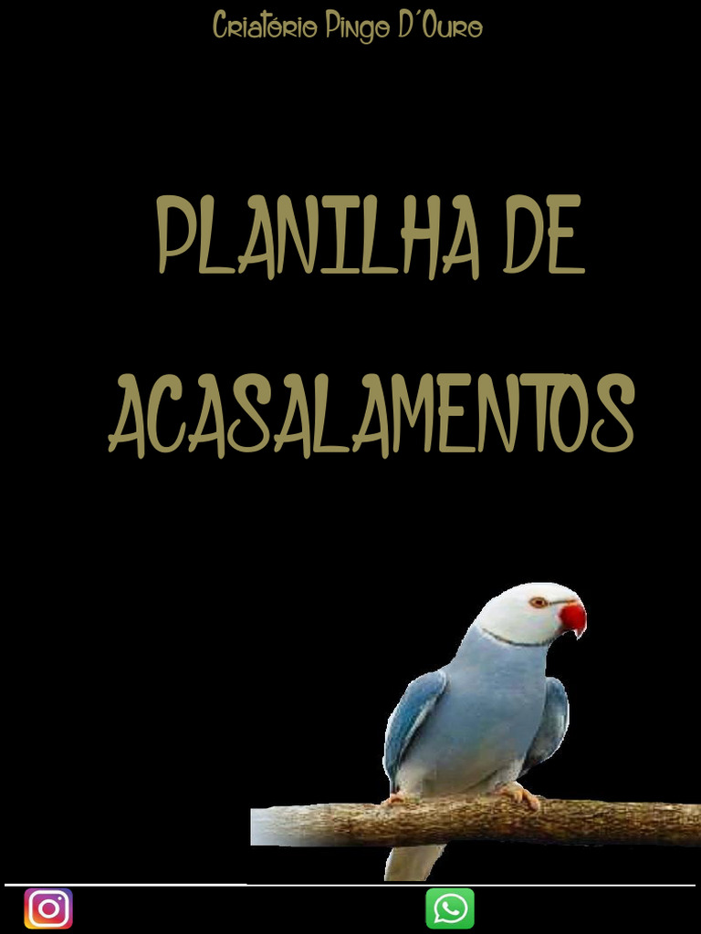 Planilha de Acasalamento-Criatório Pingo D'Ouro | PDF | Aves | Cor