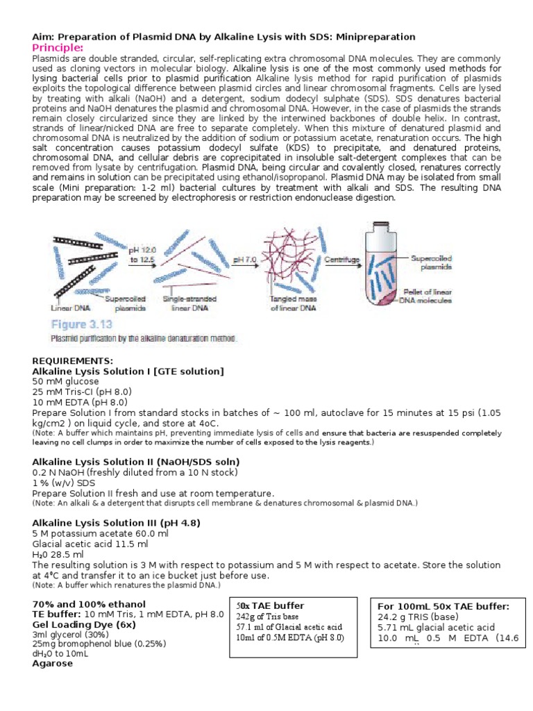 Preparation of Plasmid DNA by Alkaline Lysis With SDS Minipreparation ...