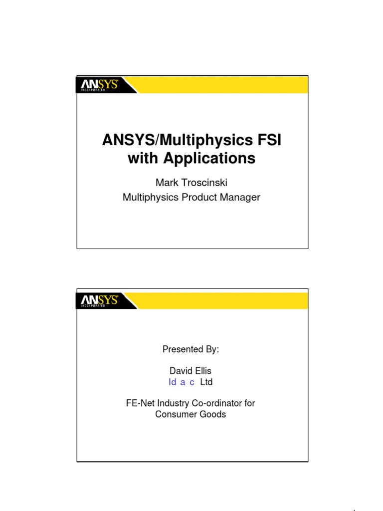 Ansys Fsi Presentation | PDF