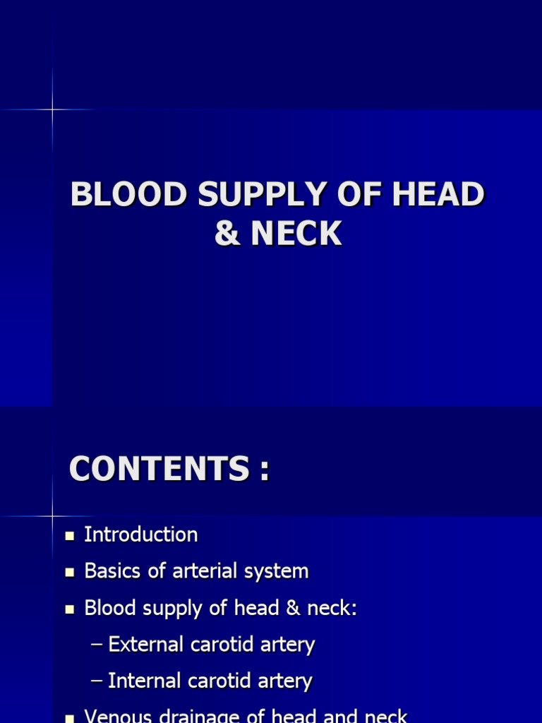 Head and Neck Blood Supply Overview | PDF