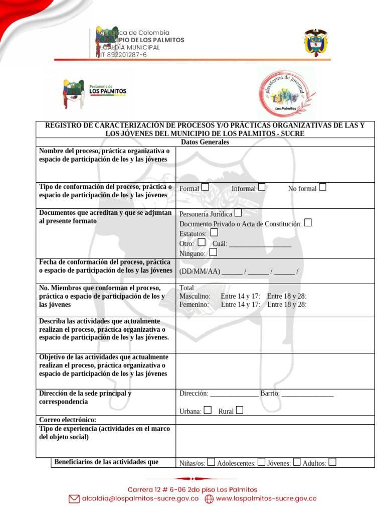 Formato Actualizacion Plataforma de Juventudes Los Palmitos | PDF