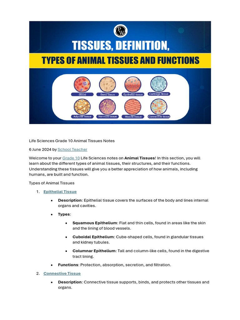 Life Sciences Grade 10 Animal Tissues Notes | PDF | Tissue (Biology ...