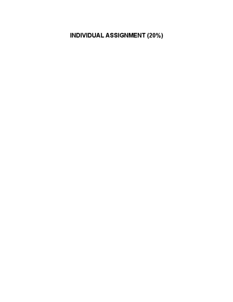 Individual Assignment Guidelines and Criteria | PDF