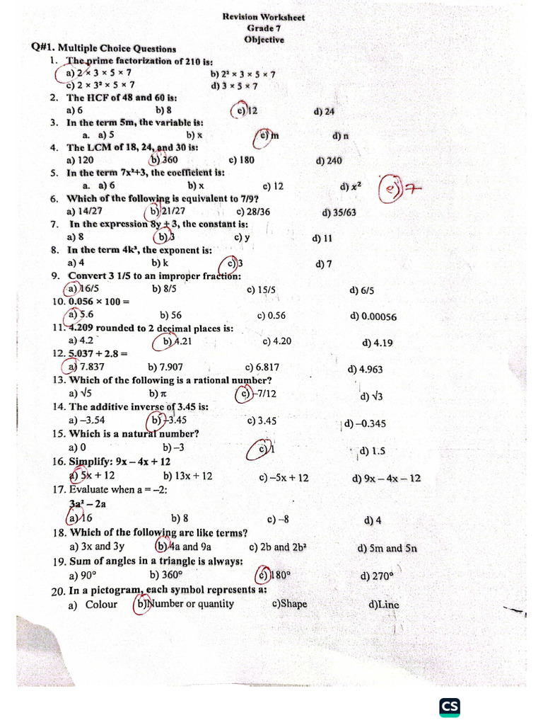 Math Objective Worksheet Solution (1) | PDF