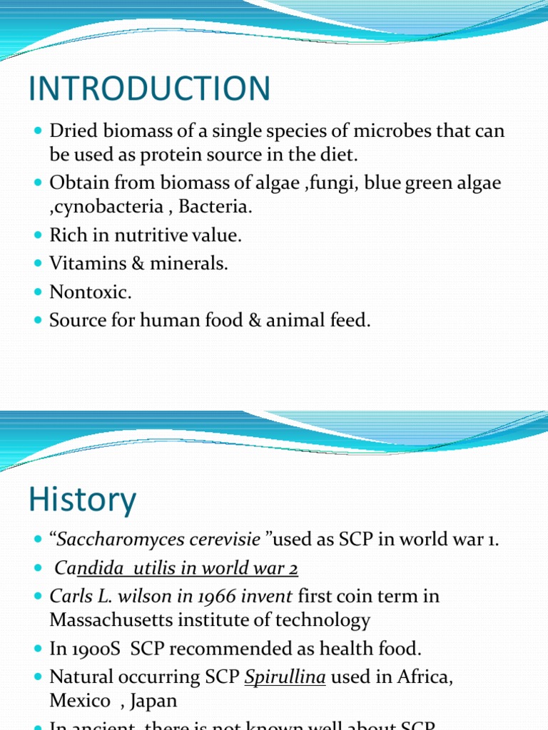 Final Single Cell Protein | Biomass | Earth & Life Sciences