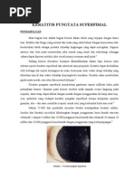 Tes Seidel & Flurosein | PDF