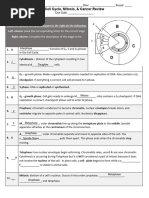 Mitosis Mover Activity Guide | PDF | Mitosis | Chromosome