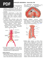Anatomia do Sistema Venoso Ázigo | PDF | Fígado | Abdômen