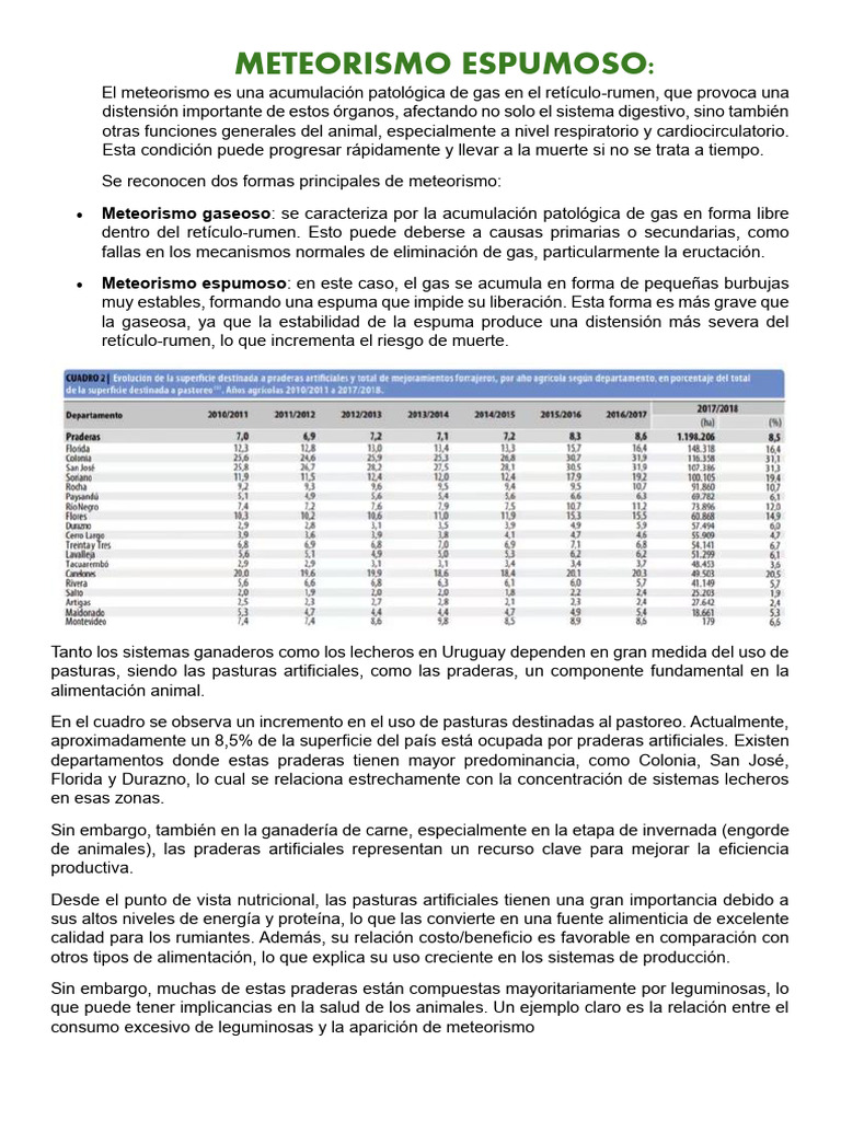 Meteorismo Espumoso | PDF | Pasto | Rumiante