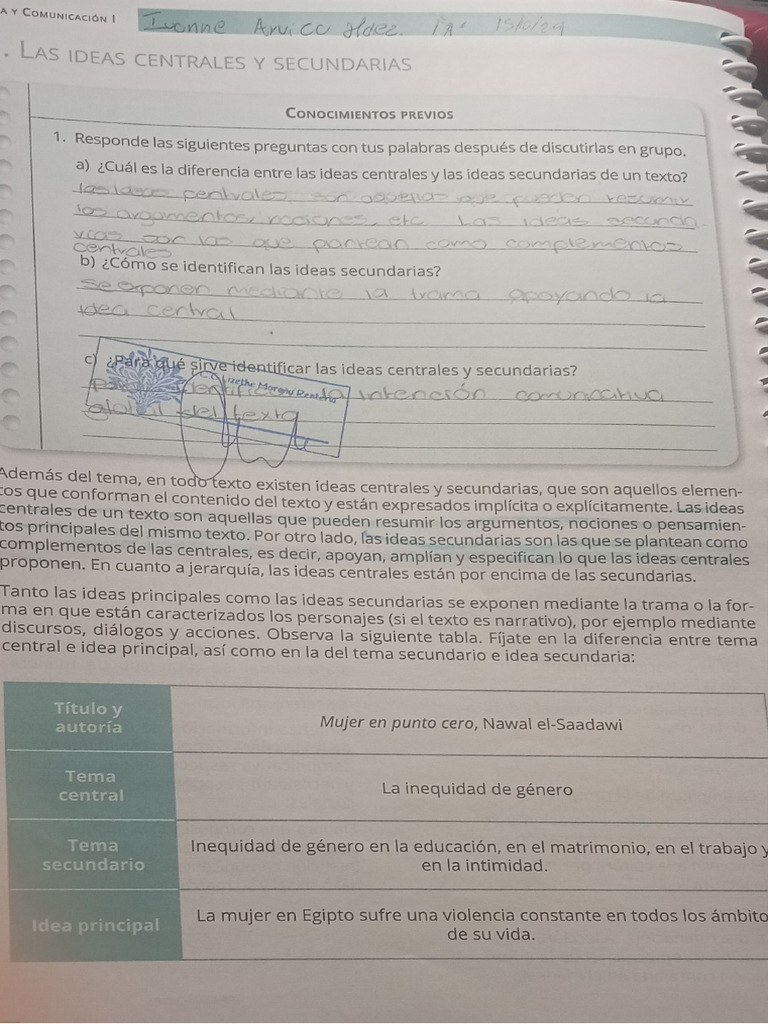 Ideas Centrales y Secundarias | PDF