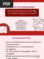 Calculating Iron Deficit with Ganzoni's Formula | PDF