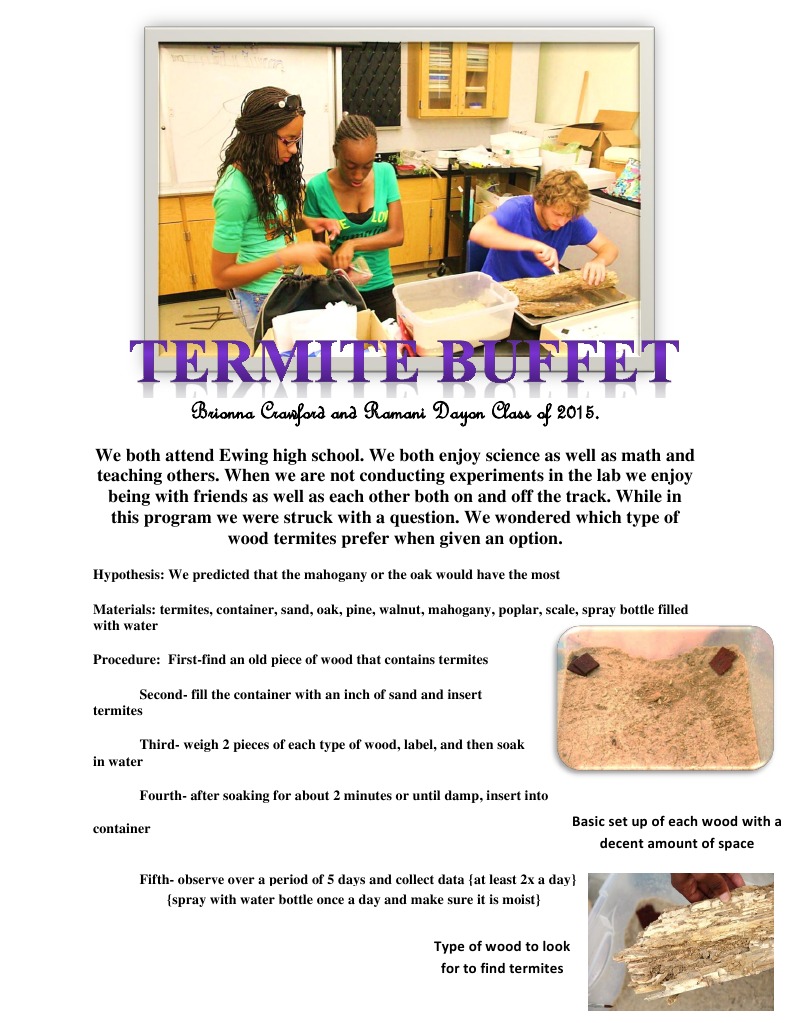 Termite Wood Preference Experiment | PDF