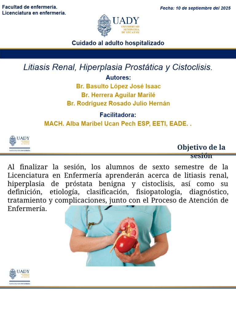 Litiasis Renal, Hiperplasia Prostática y Cistóclisis. | PDF | Urología ...
