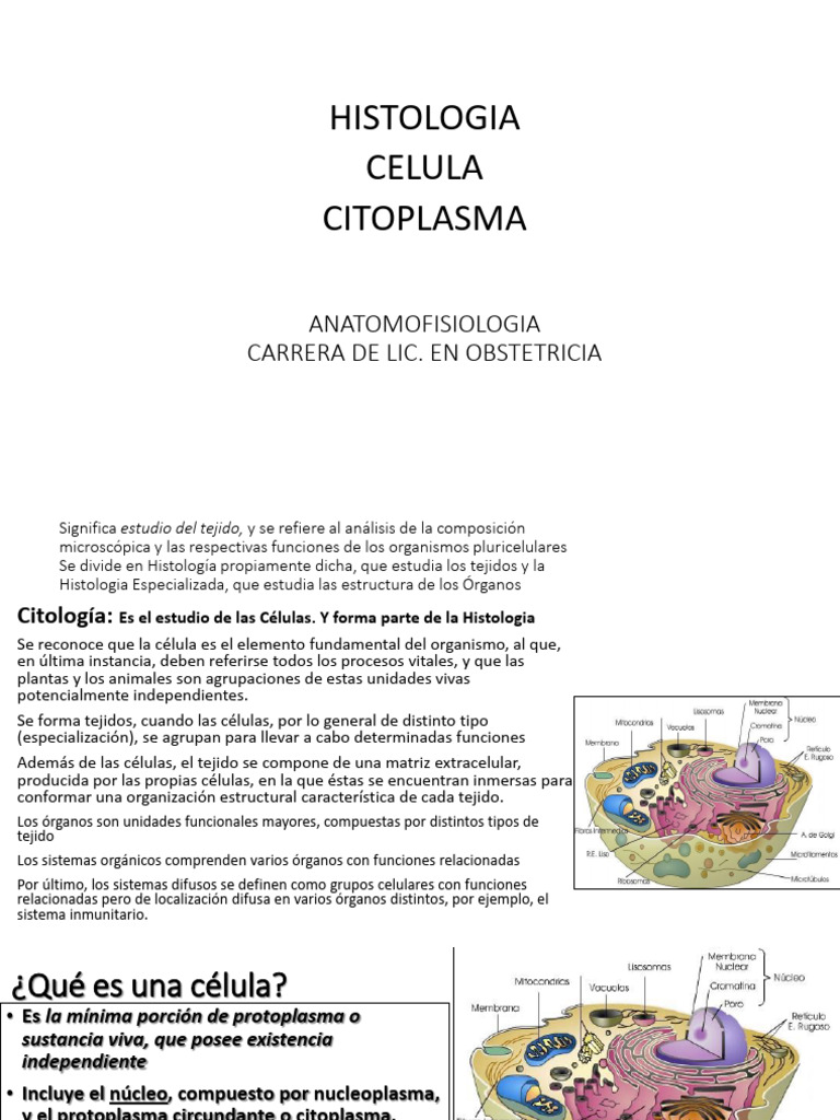 CITOPLASMA CELULAR_29774c5678949c0c9283ba7c4431f9de | PDF | Citoplasma ...