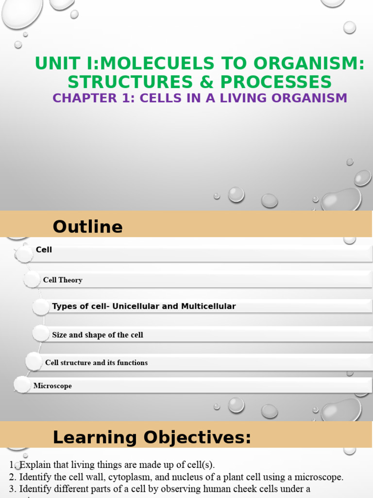 Cells in A Living Organism | PDF | Cell (Biology) | Cell Nucleus