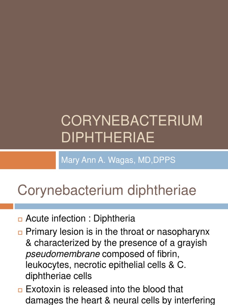 Corynebacterium Diphtheriae | PDF | Health Sciences | Medical Specialties