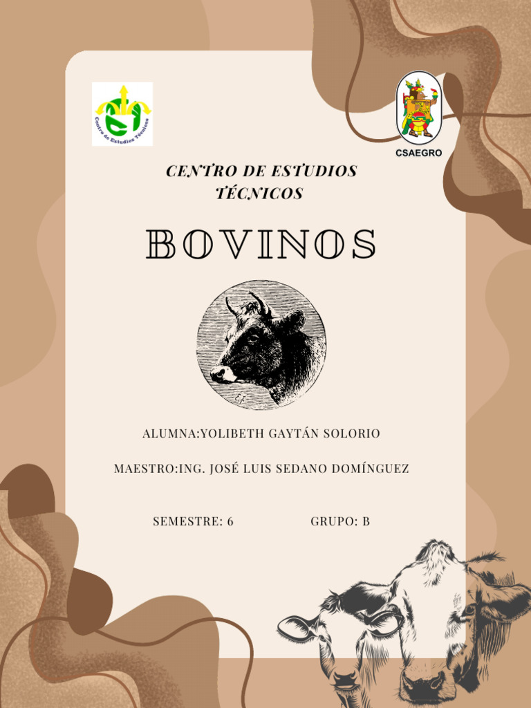 Brown and Beige Simple Page Border Poster | PDF