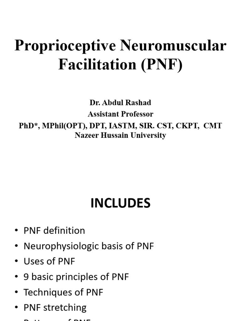 LEC.06.PNF | PDF | Anatomical Terms Of Motion | Nervous System