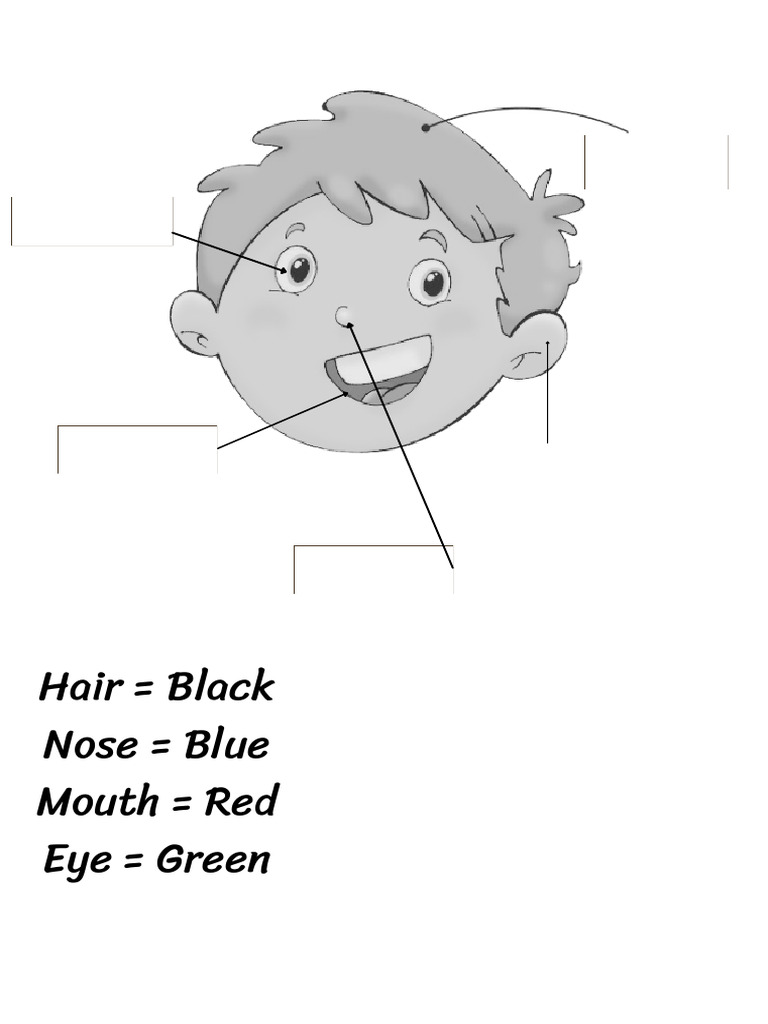 Parts of the Face Worksheet (A4) | PDF