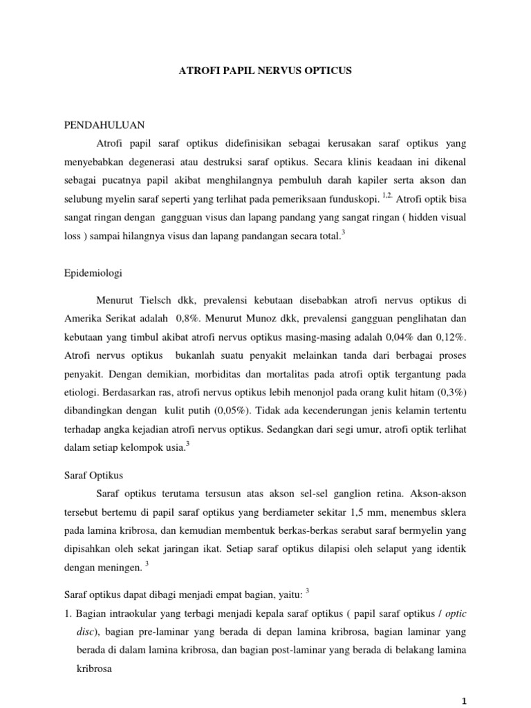 Atrofi Papil Nervus Opticus | PDF