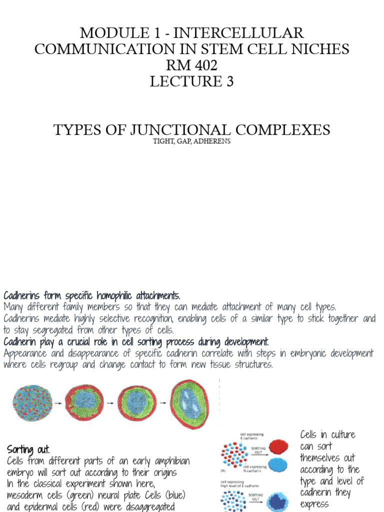 L3 - Types of Junctional Complexes - Tight, Gap, Adherens - Dr ...