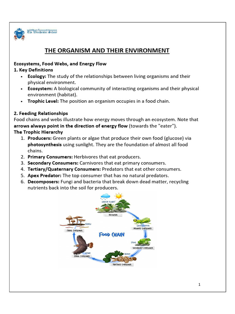 Organism and Their Environment | PDF | Food Web | Foods