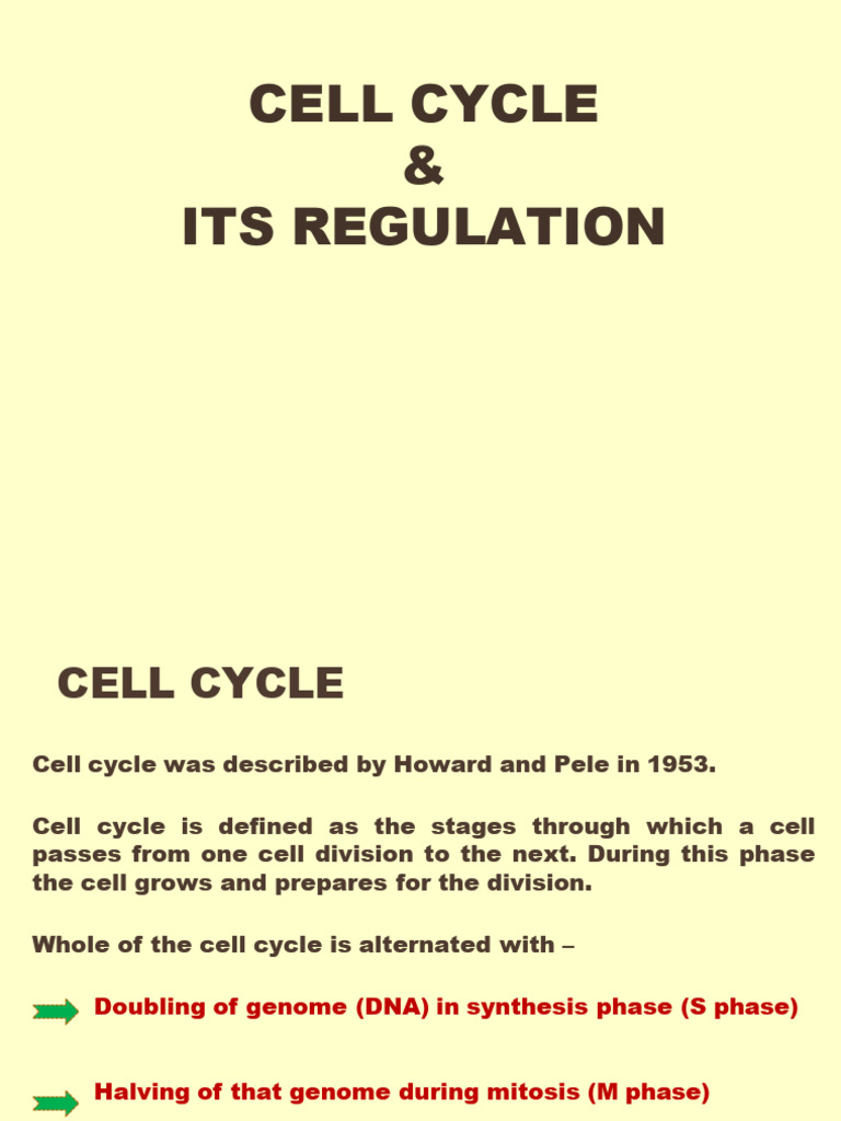 Cell Cycle Its Regulation | PDF