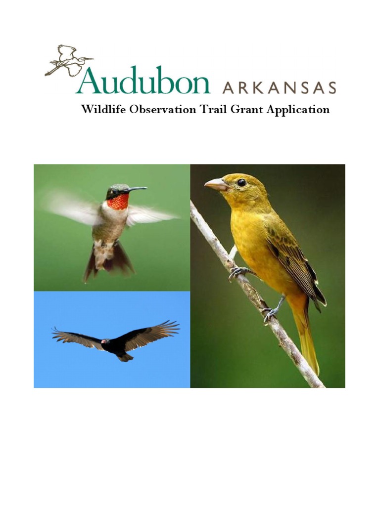 (Final Revised) FINAL Audubon AR Trail Proposal | PDF | Little Rock | Trail