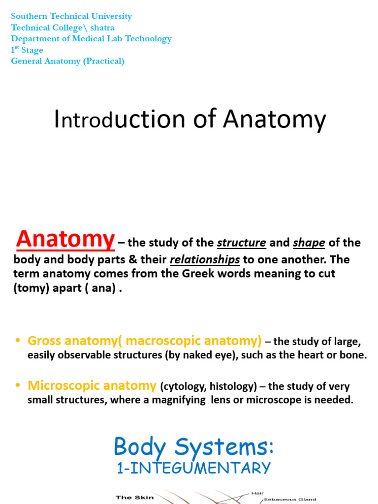 Introduction of Anatomy 1 | PDF | Anatomical Terms Of Location | Human Body
