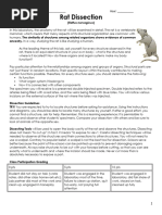 Rat Dissection Guide: Anatomy & Techniques | PDF | Aorta | Large Intestine
