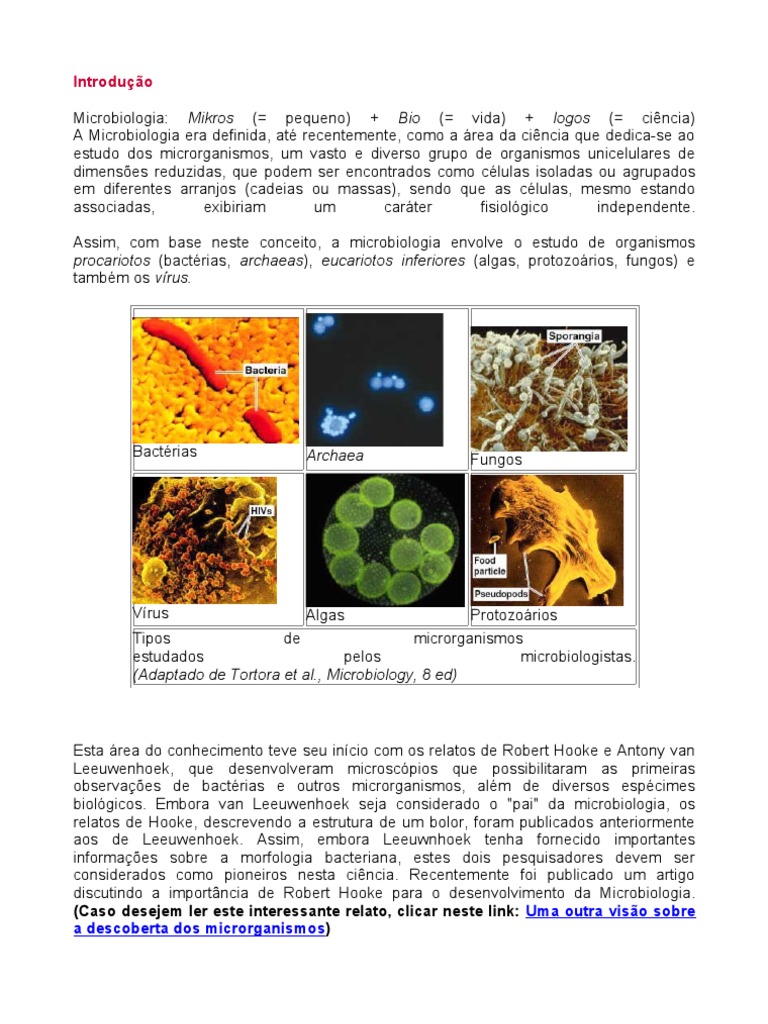 Apostila Microbiologia UNB | Bactérias | Parede Celular