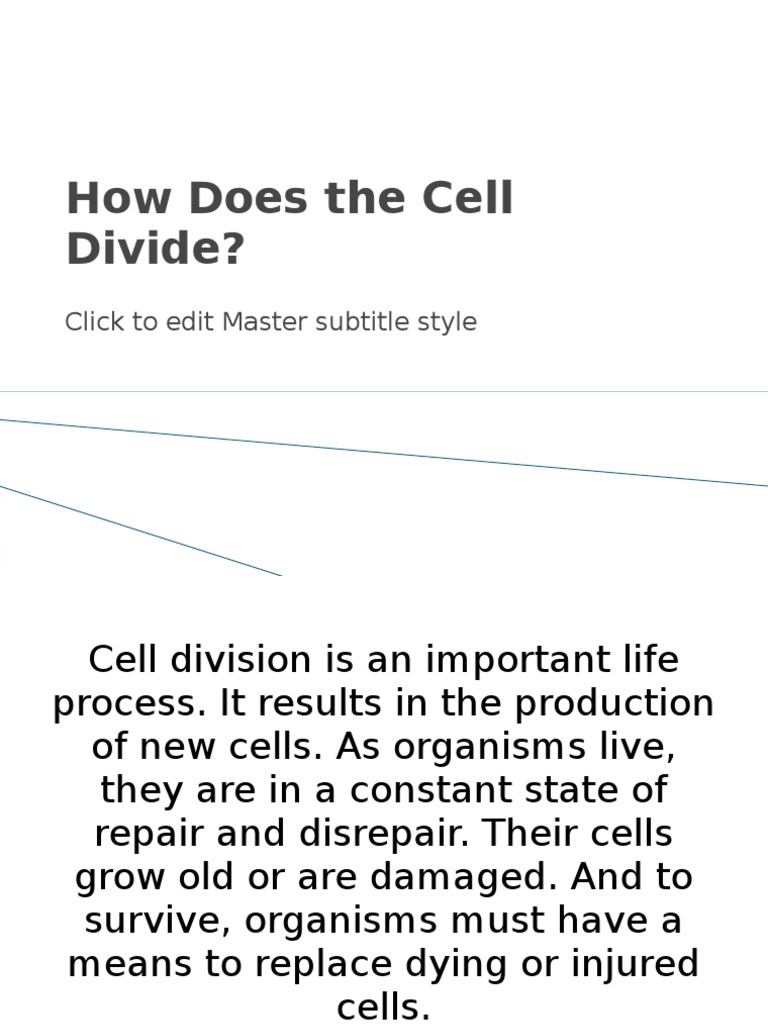 How Does The Cell Divide | Download Free PDF | Meiosis | Ploidy