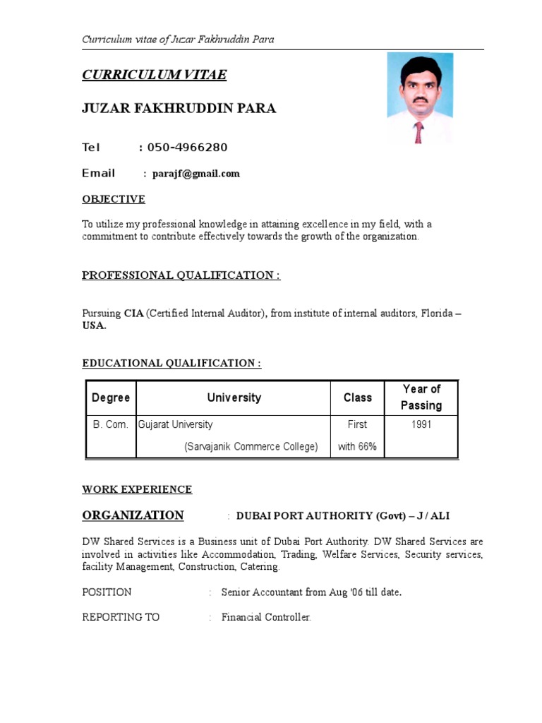 Bio DataL Chief Accountant Part | PDF