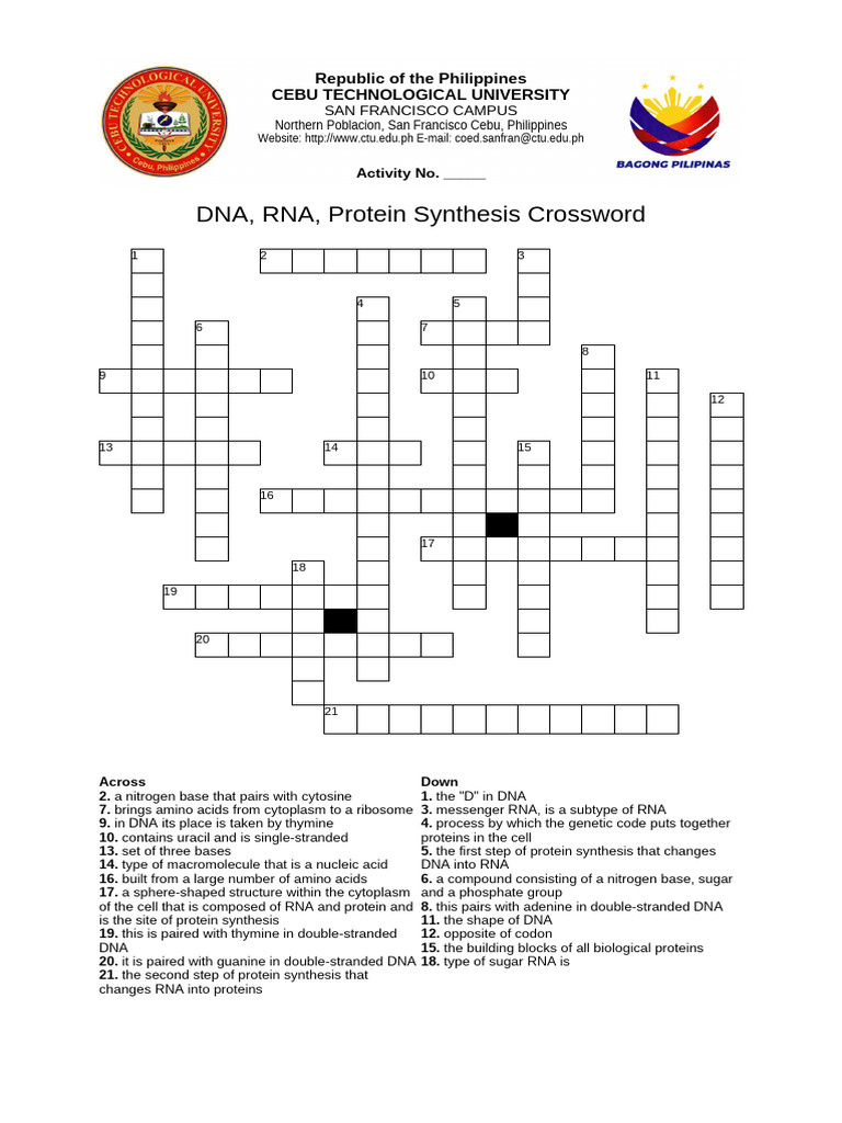 DNA RNA Protein Synthesis | PDF | Rna | Dna