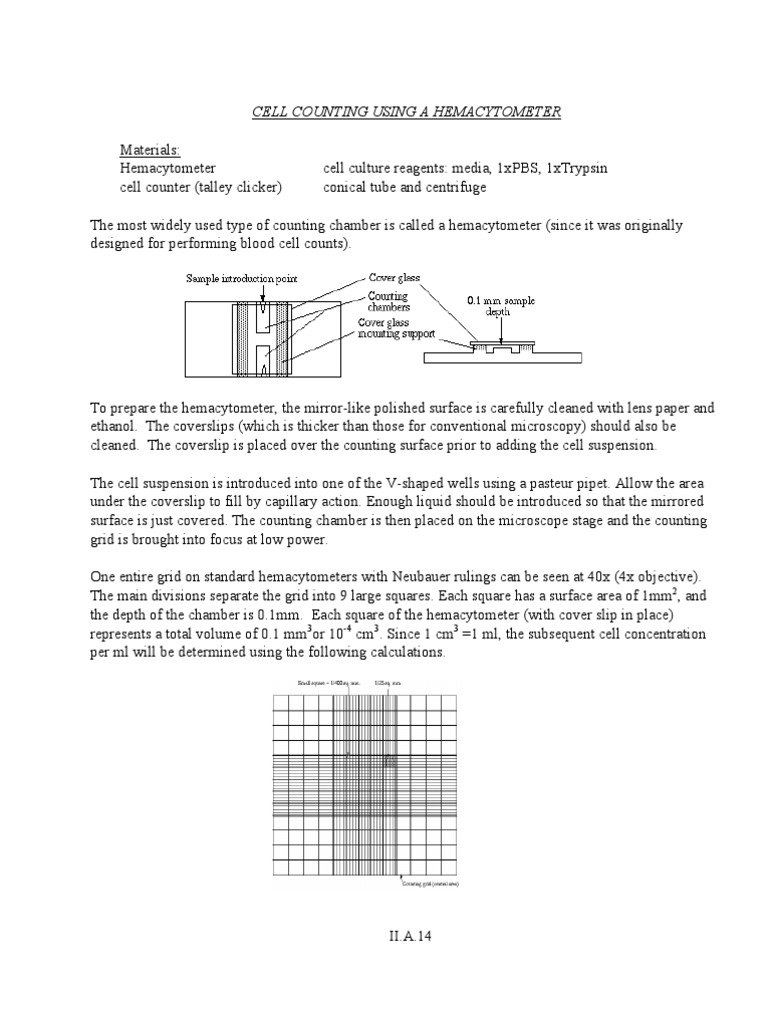 Cell Counting Using A Hemacytometer | PDF | Laboratories | Laboratory ...