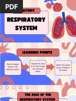 Air Pathway in the Respiratory System | PDF