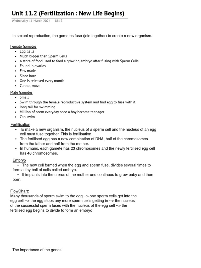 Unit 11.2 (Fertilization - New Life Begins) | PDF