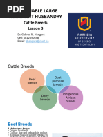 Bovine Breed Codes List | PDF | Livestock | Mammal Breeds