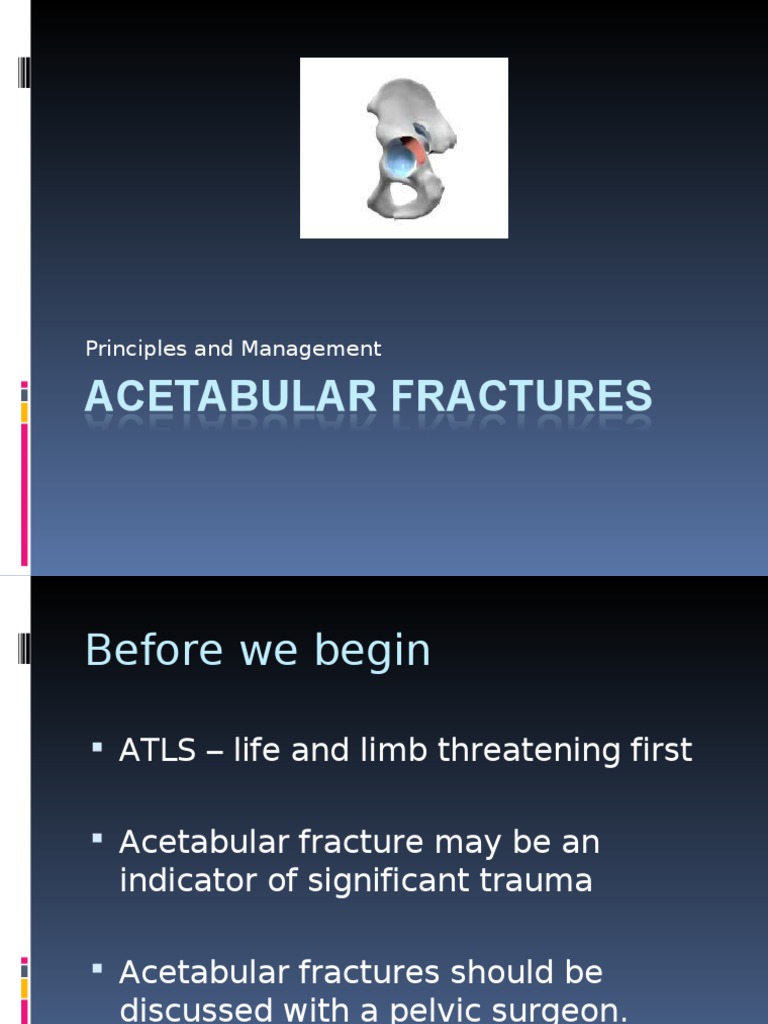 Acetabulum | PDF | Pelvis | Anatomical Terms Of Location