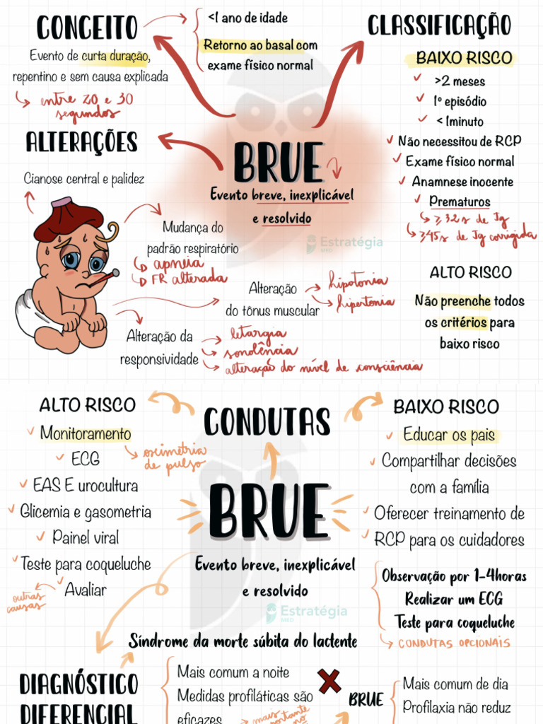 Mapa Mental - BRUE-SMSL | PDF