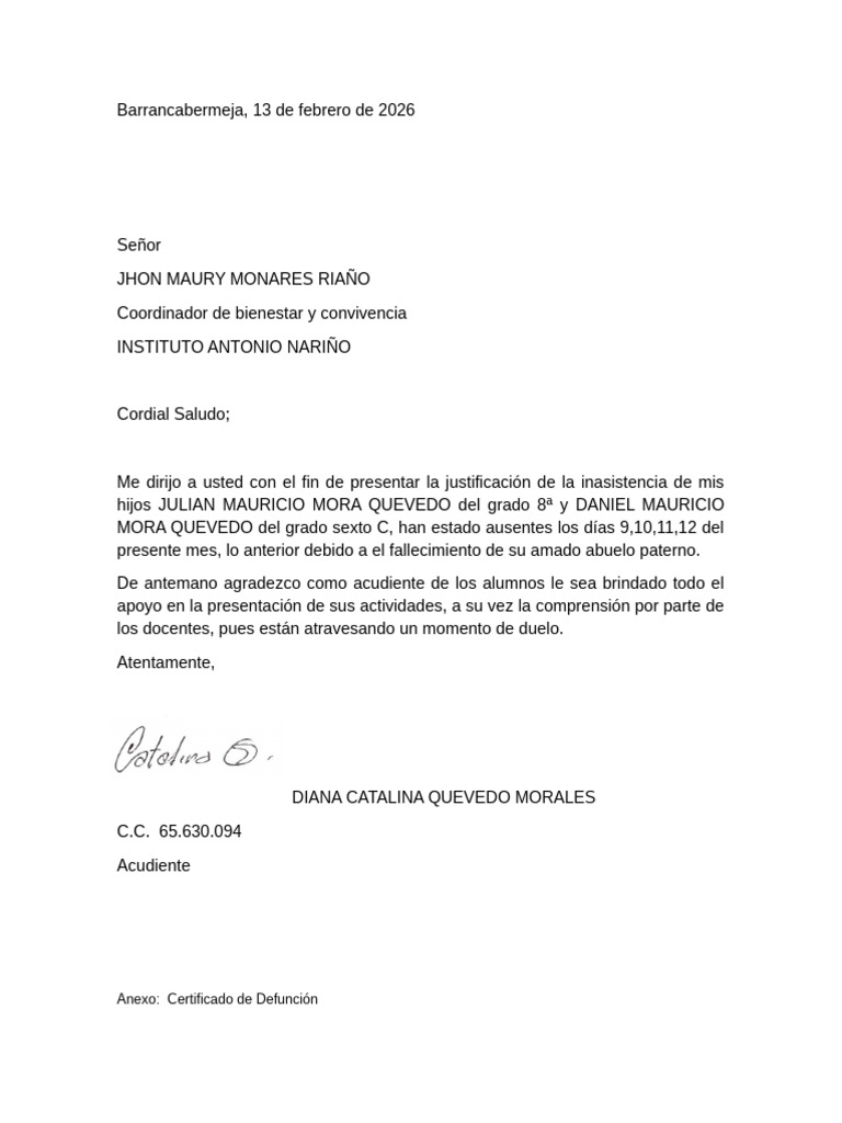 Carta Justificacion Julian Mora | PDF