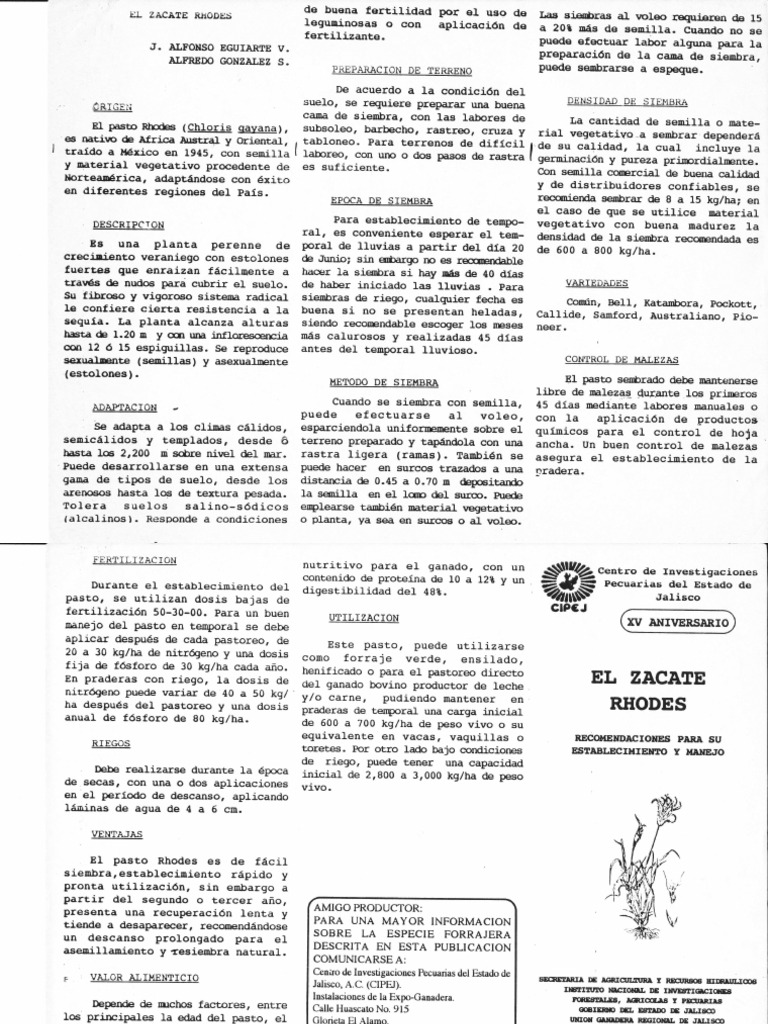 Pastos de Praderas Tropicales | PDF | Pasto | Siembra