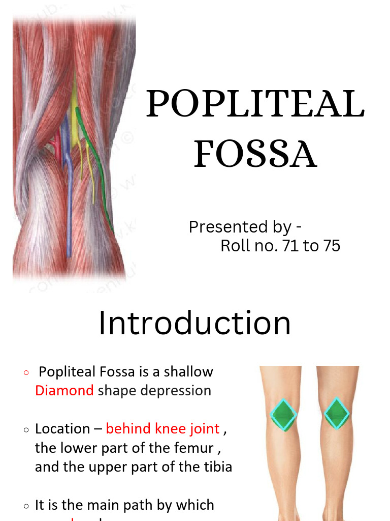 Popliteal Fossa (71-75) .PPTX - 20260111 - 165115 - 0000.pptx ...