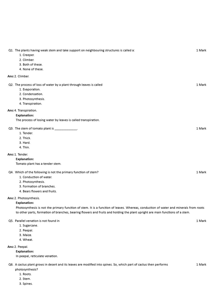 Getting To Know Plants | PDF | Leaf | Botany