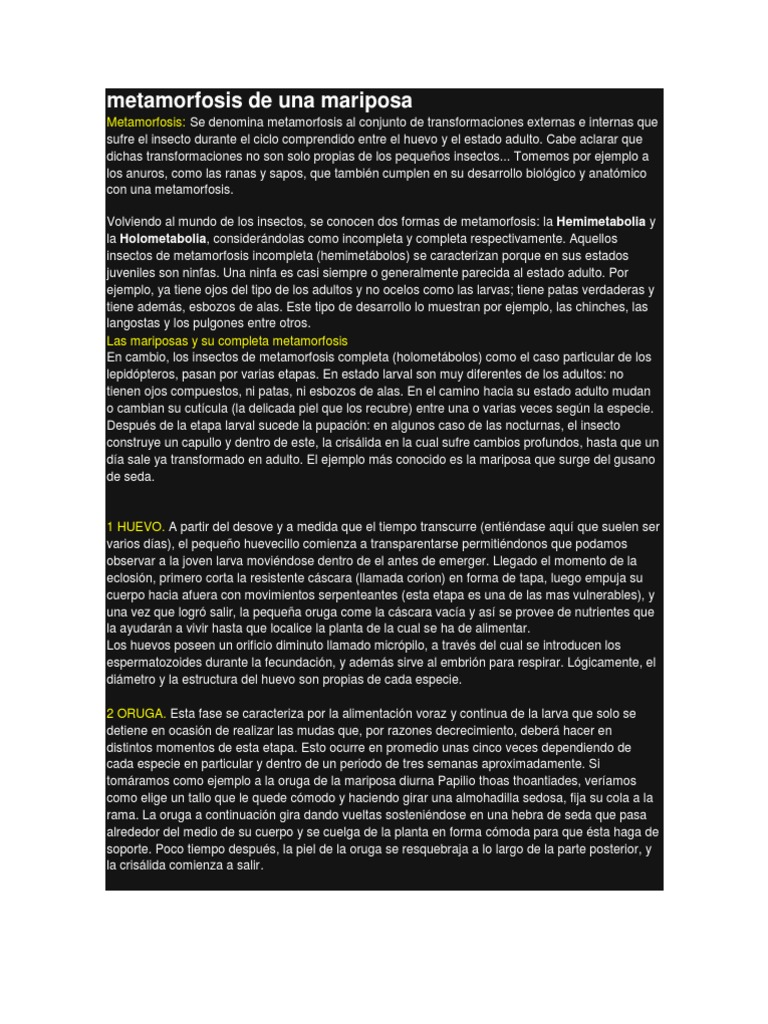 Metamorfosis de la Mariposa: Etapas Clave | PDF | Lepidópteros | Larva